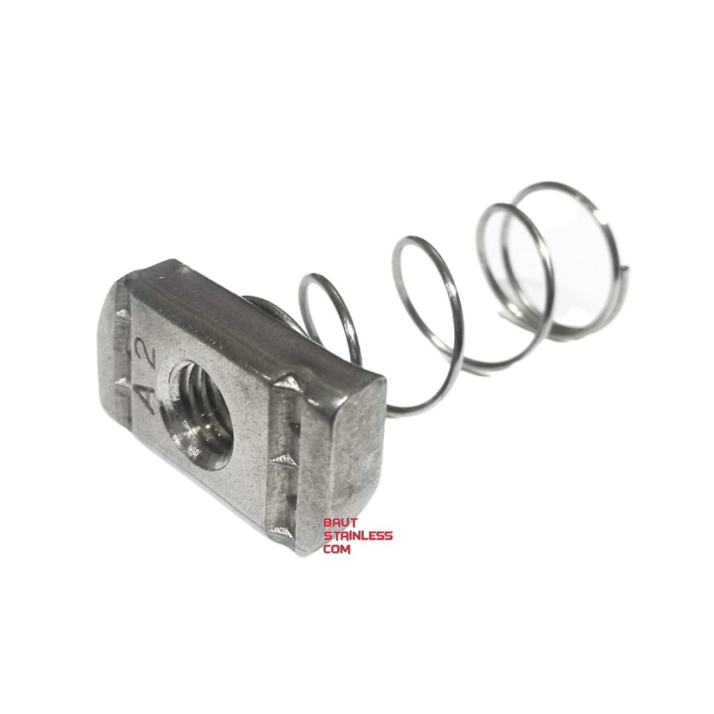 Nuts - Bautstainless.com